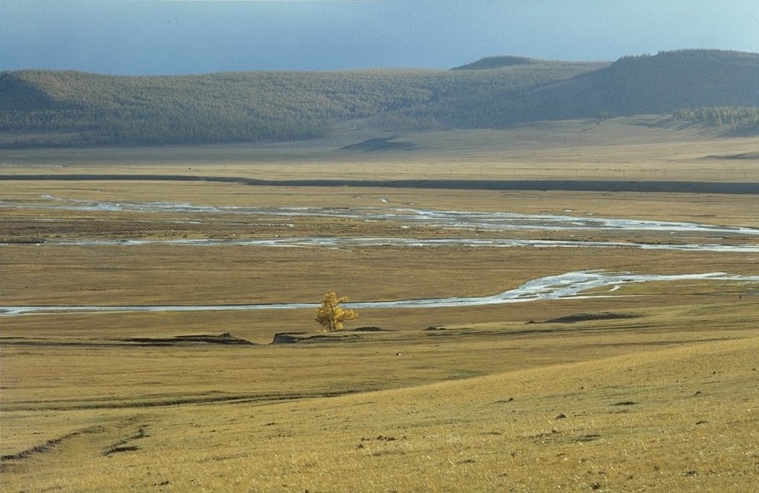 The Steppe Restoration and Global History - CfAS